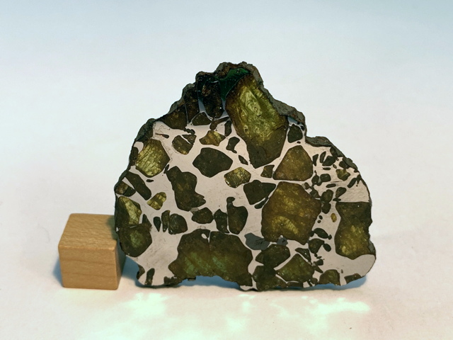 Imilac Pallasite Meteorites for Sale